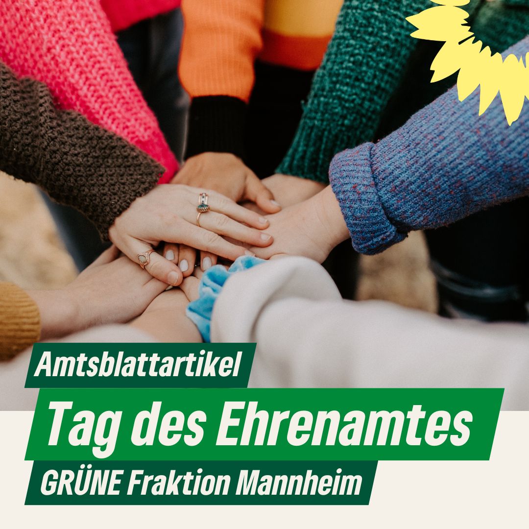 Freiwilliges Engagement für das Gemeinwohl – Tag des Ehrenamtes | Grüne ...